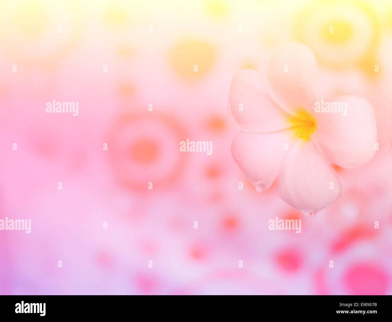 Beautiful blur background hi-res stock photography and images - Alamy