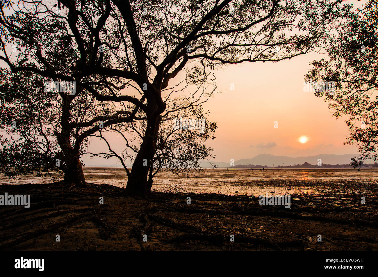 Beautiful nature and beautiful of sea and color of sunset, Phuket ...