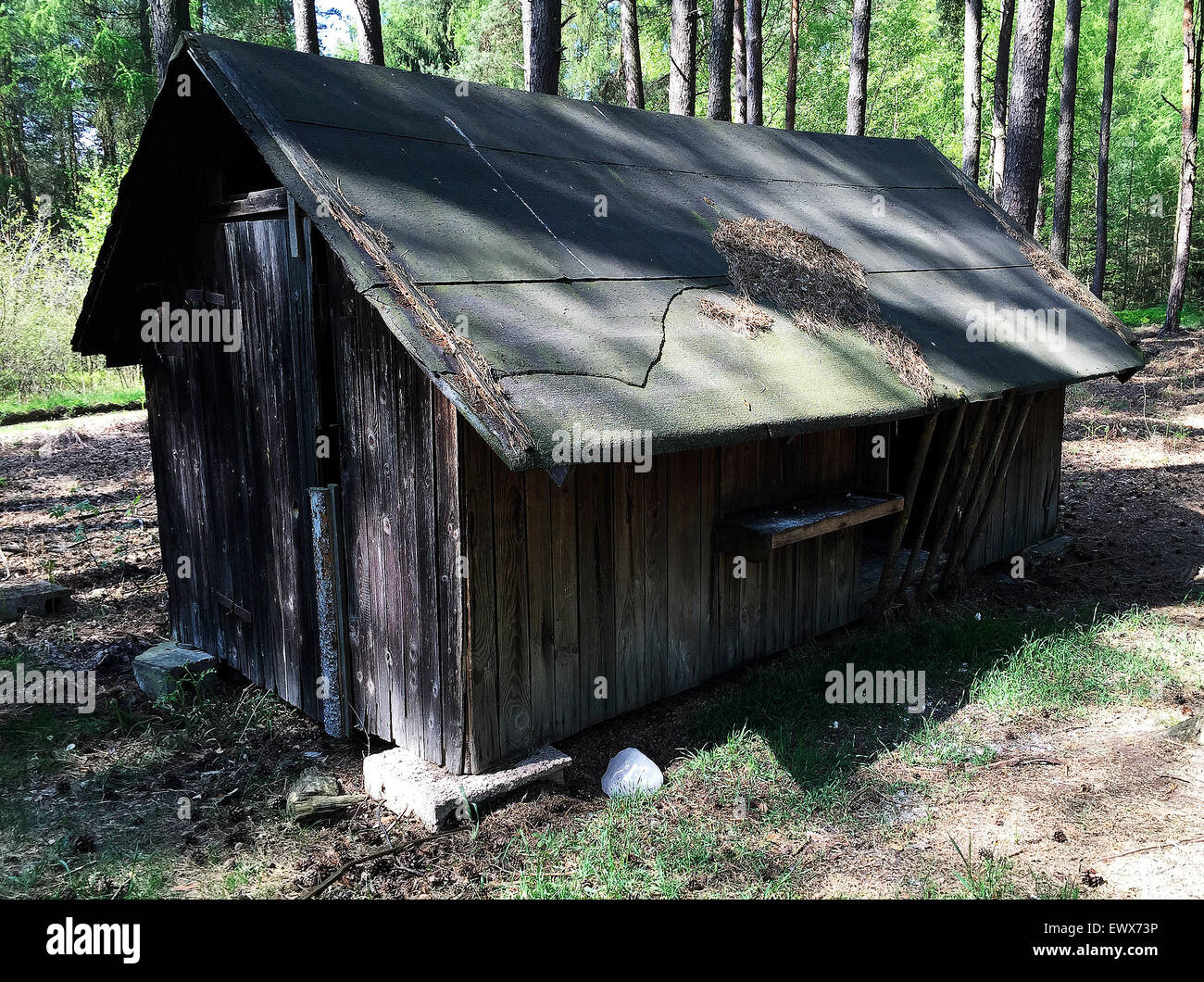rock salt, rack Stock Photo - Alamy