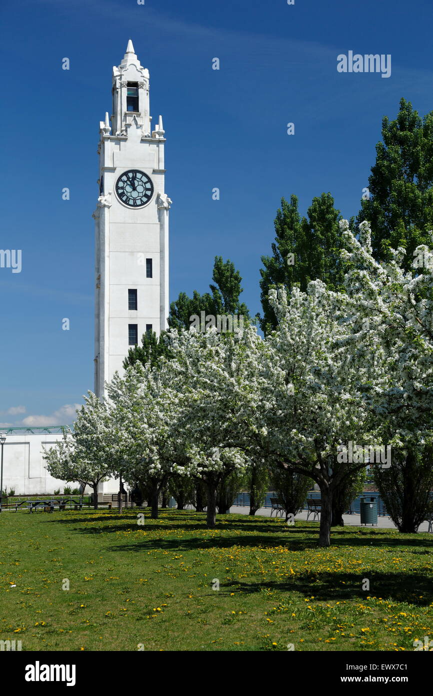 Old port montreal clock tower hi-res stock photography and images - Alamy