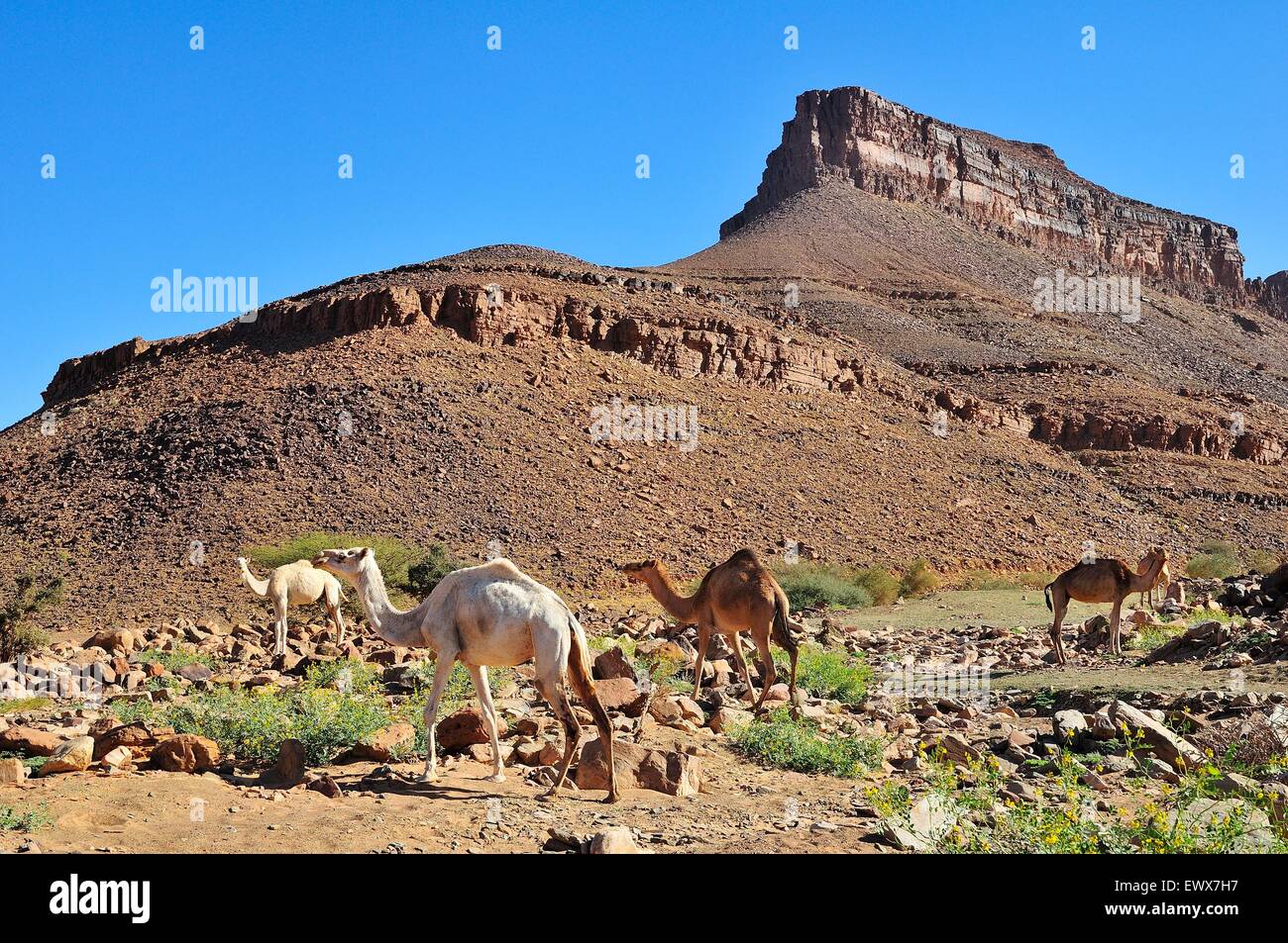 Amogjar pass hi-res stock photography and images - Alamy