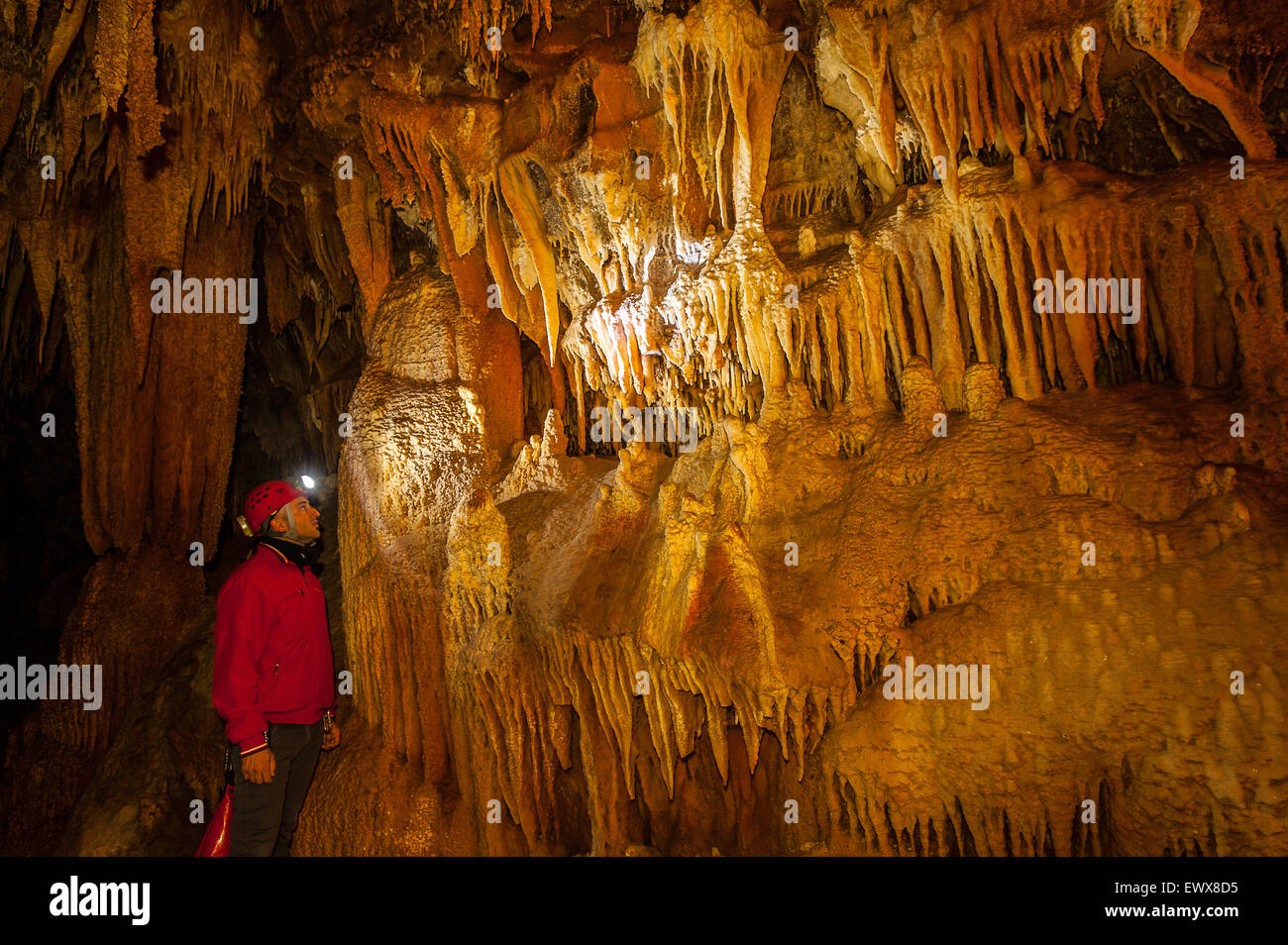 Italy Apulia Castellana cove -Branches of coralloid (stalactites Stock ...