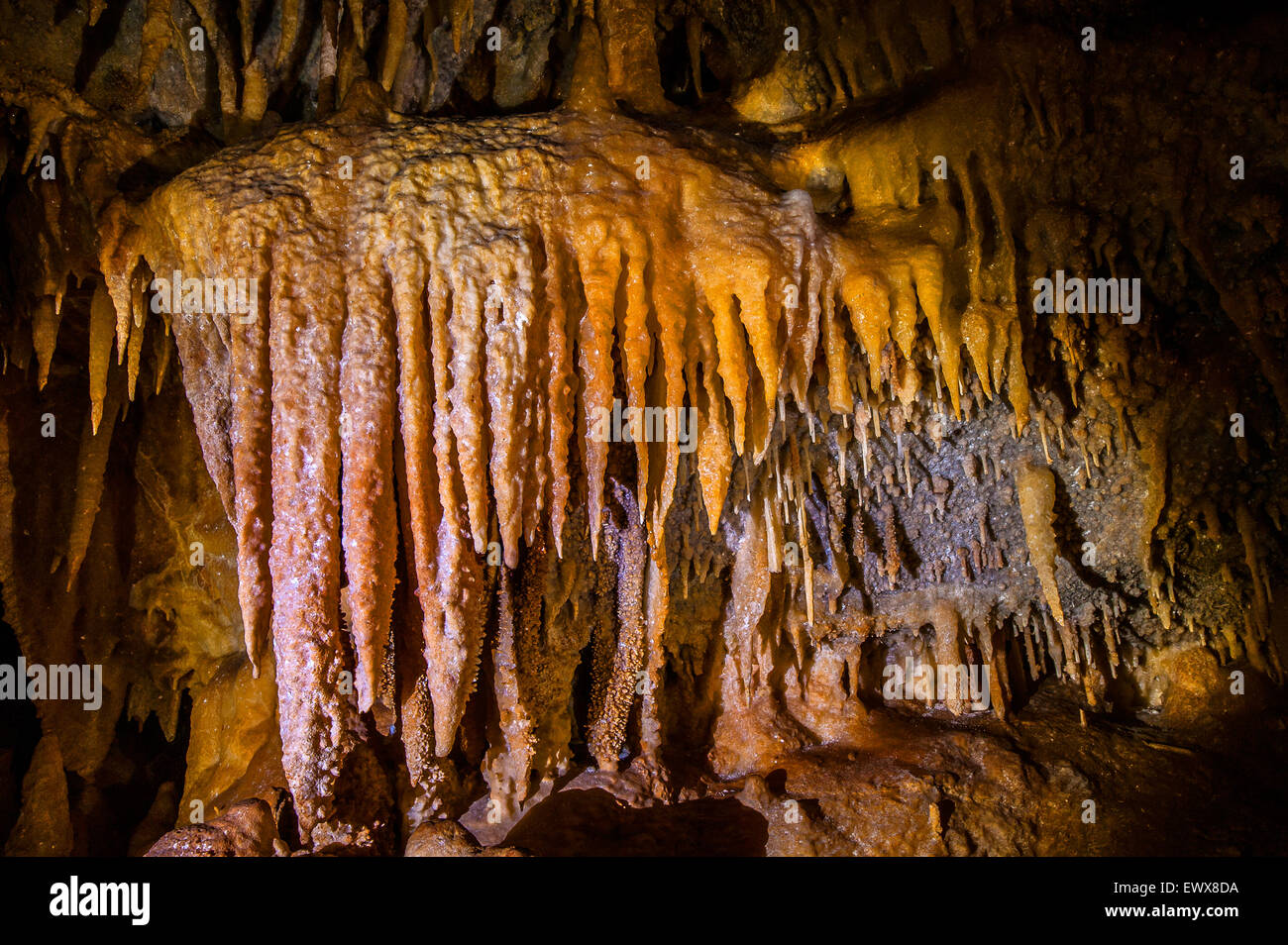 Italy Apulia Castellana cove -Branches of coralloid (stalactites Stock ...