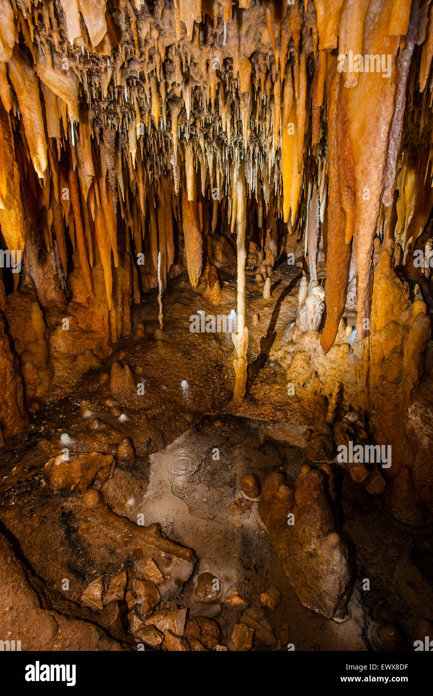 Italy Apulia Castellana cove -Branches of coralloid (stalactites )with ...