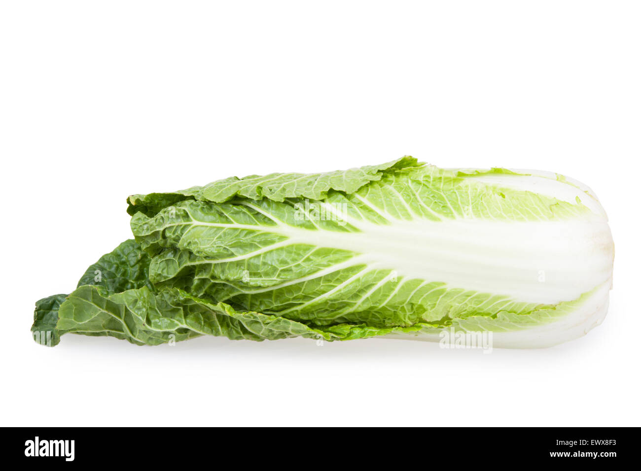 fresh Chinese cabbage Stock Photo - Alamy