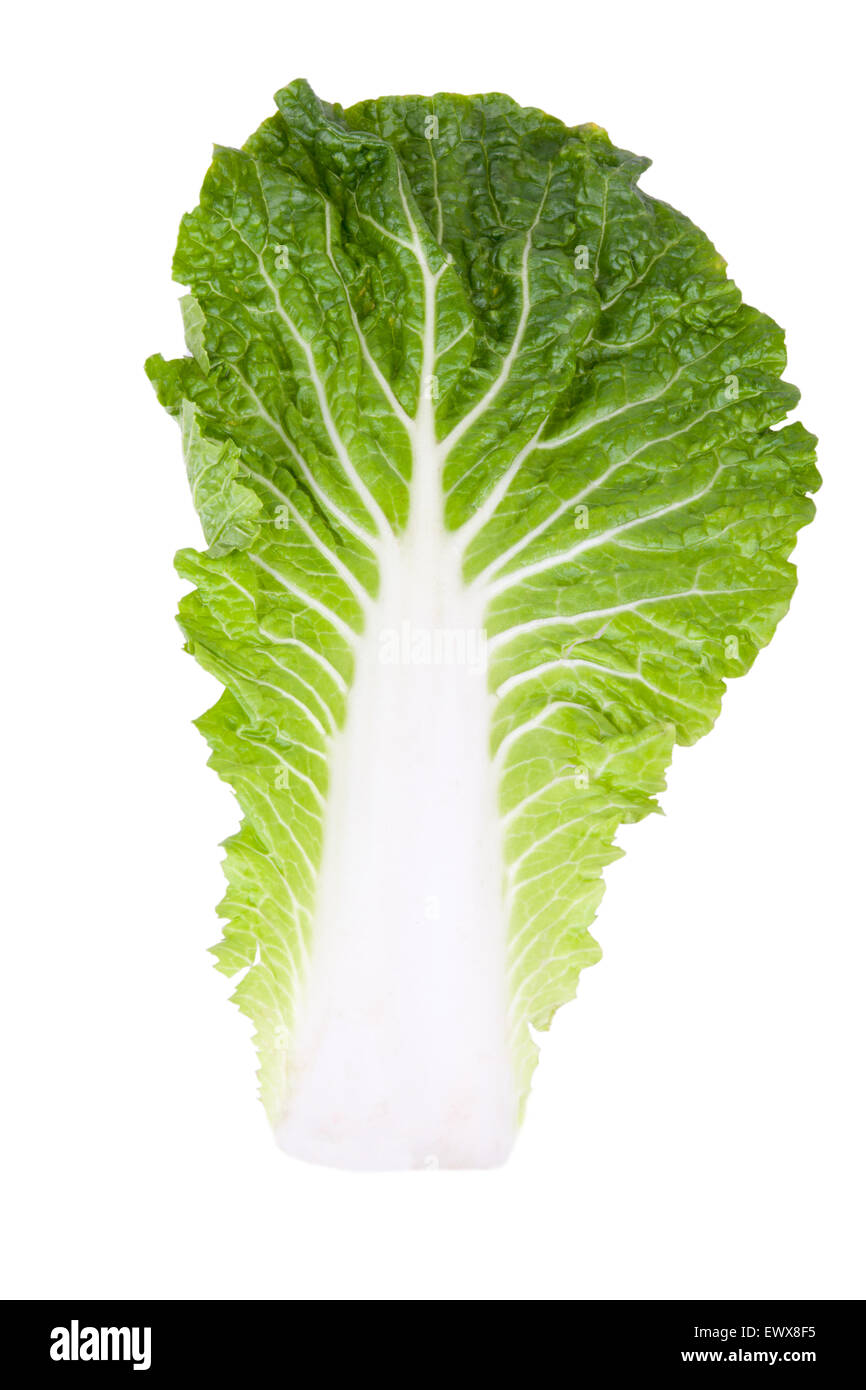Spring cabbage plant Cut Out Stock Images & Pictures - Alamy