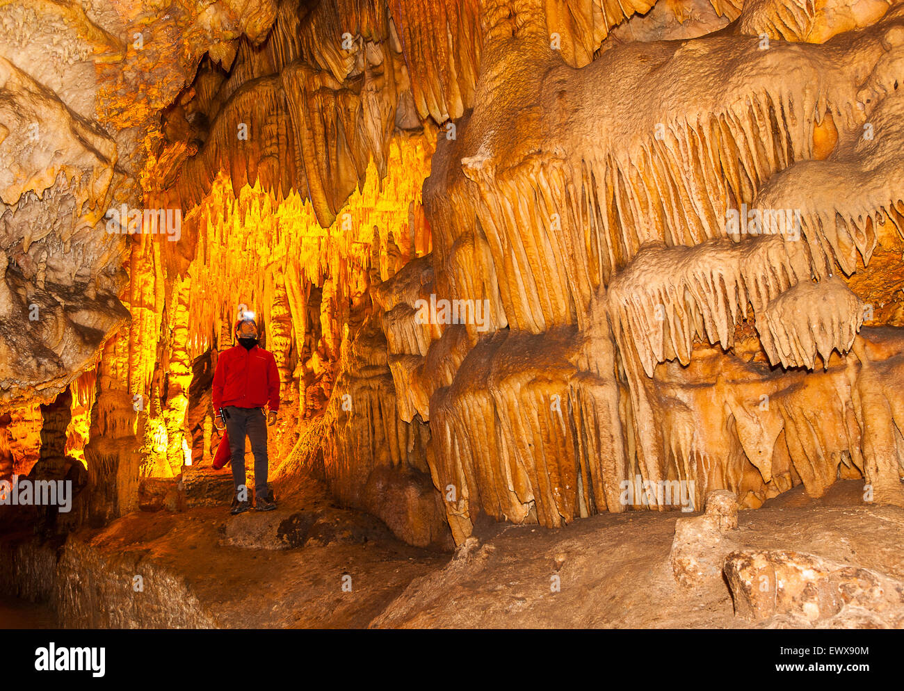 Carpinelli hi-res stock photography and images - Alamy