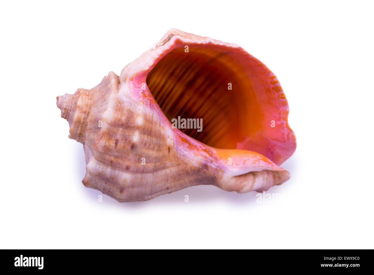 Big curve Cut Out Stock Images & Pictures - Alamy