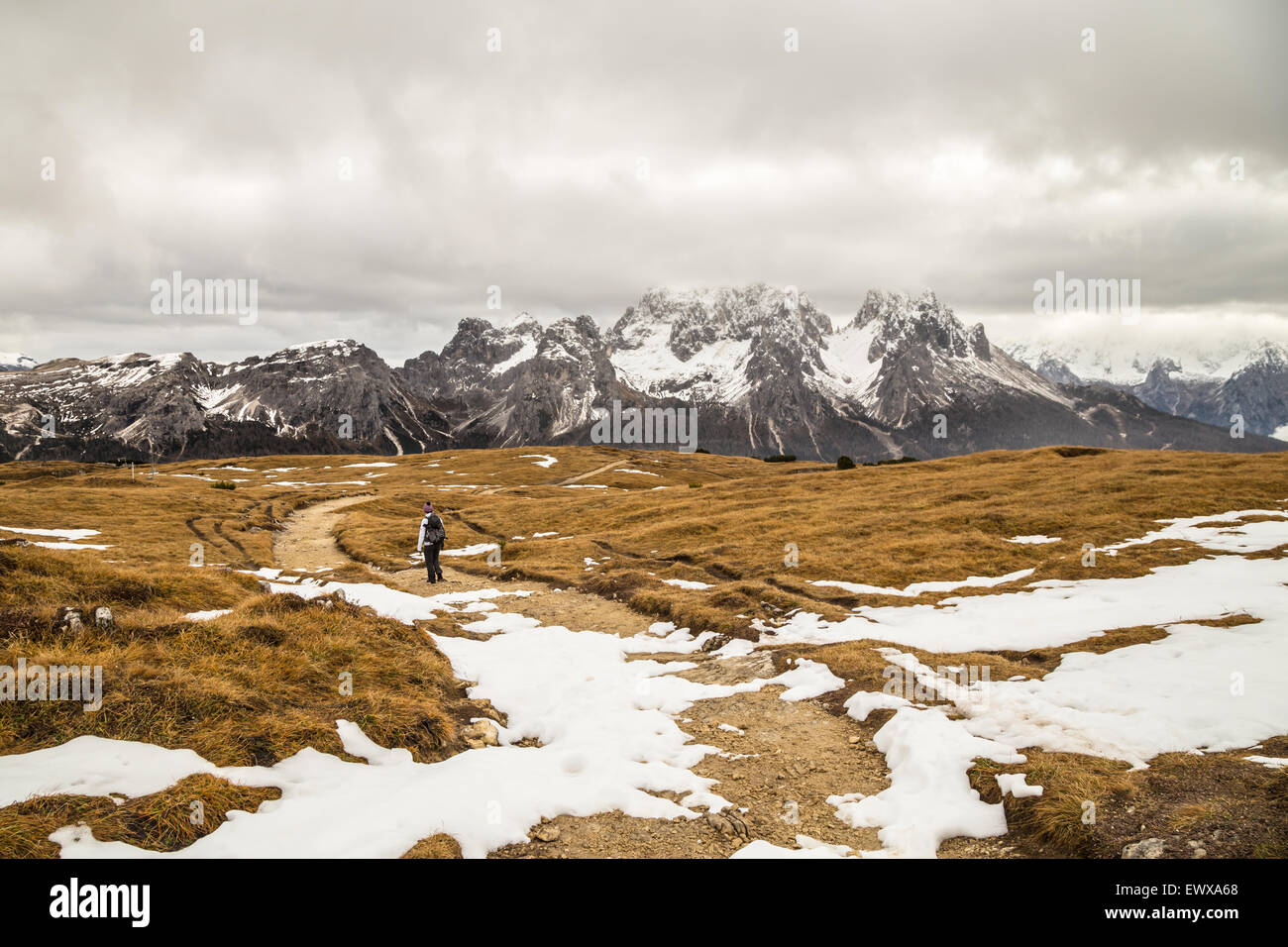 a girl walking in the forest in the italian alps Stock Photo - Alamy