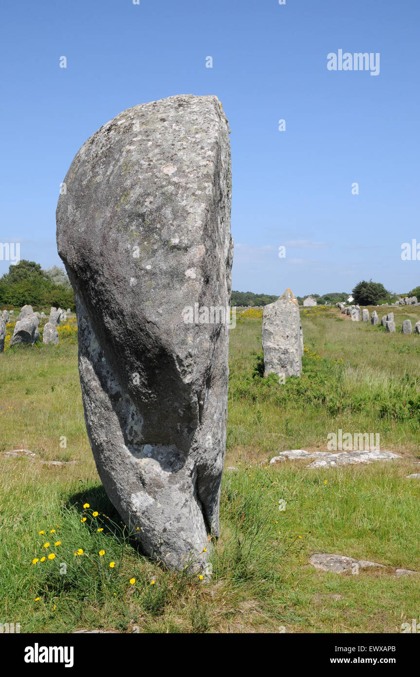 Neolithic alignments hi-res stock photography and images - Alamy