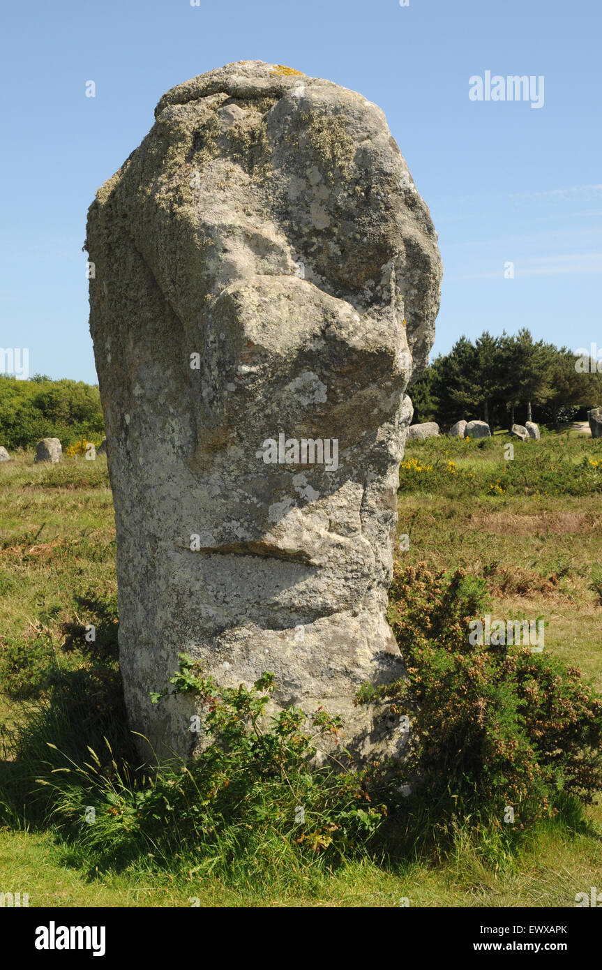 One of the biggest of the world famous standing Stones at Carnac in ...
