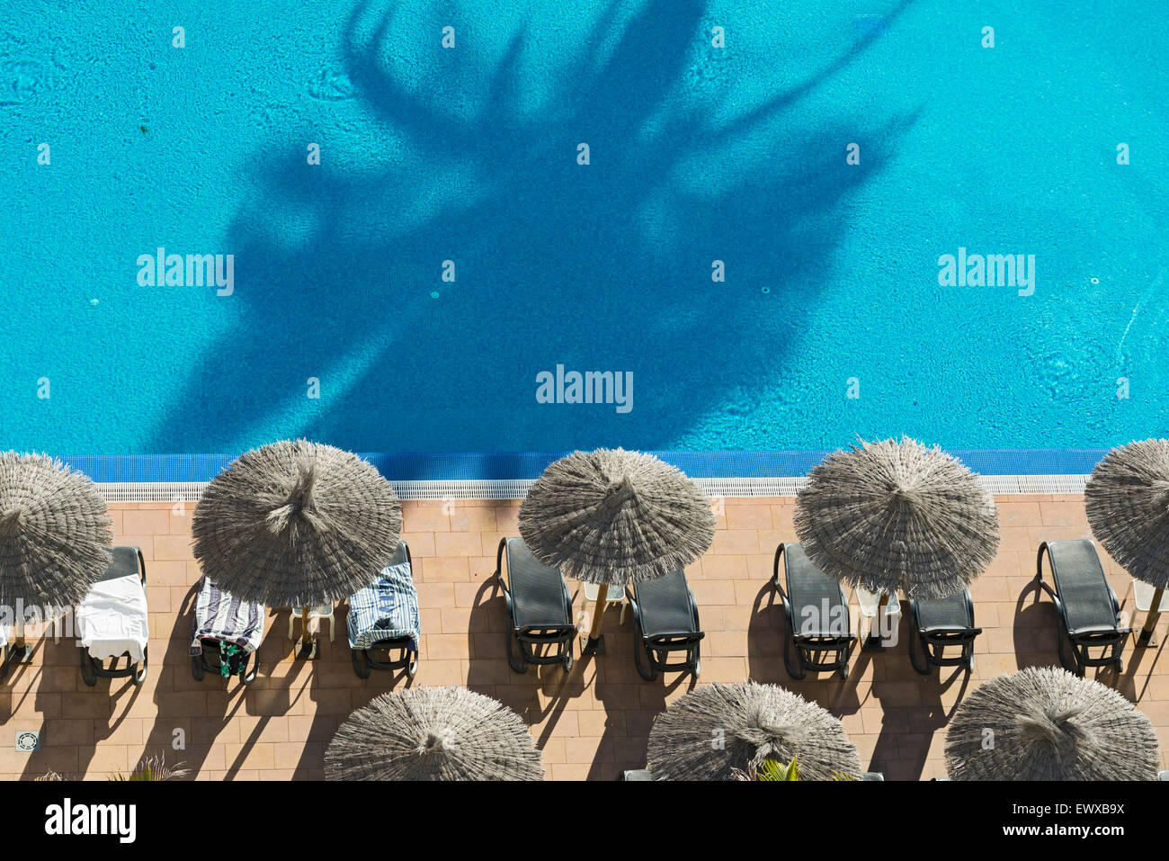 top view of beautiful swimming pool Stock Photo - Alamy