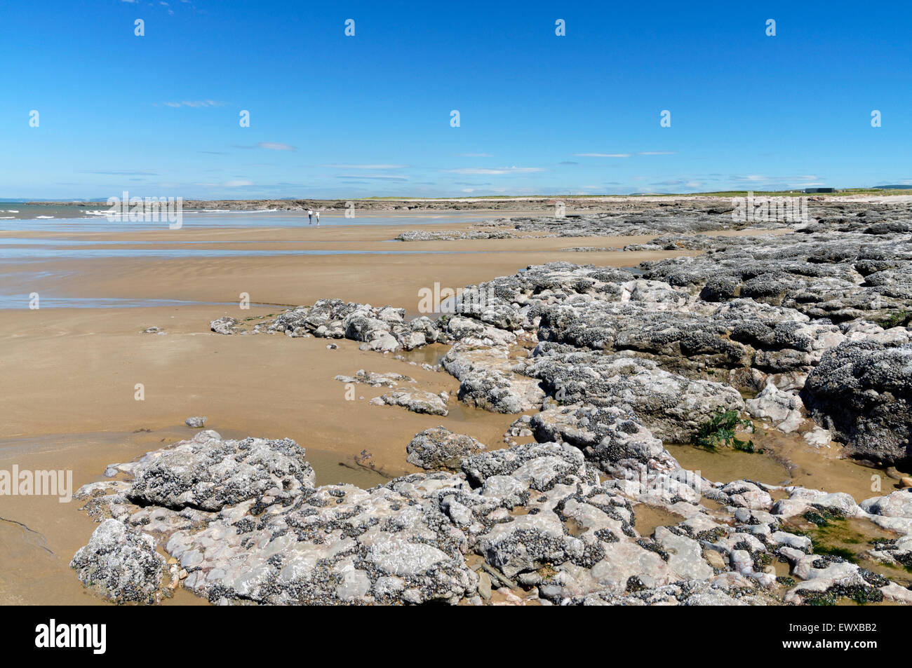 Rock pools, Rest Bay, Porthcawl. South Wales, UK Stock Photo - Alamy
