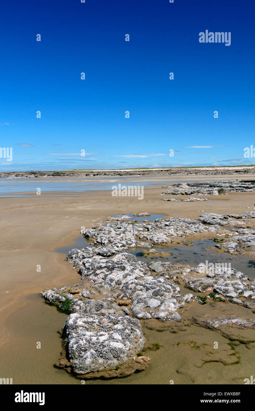 Rock pools, Rest Bay, Porthcawl. South Wales, UK Stock Photo - Alamy