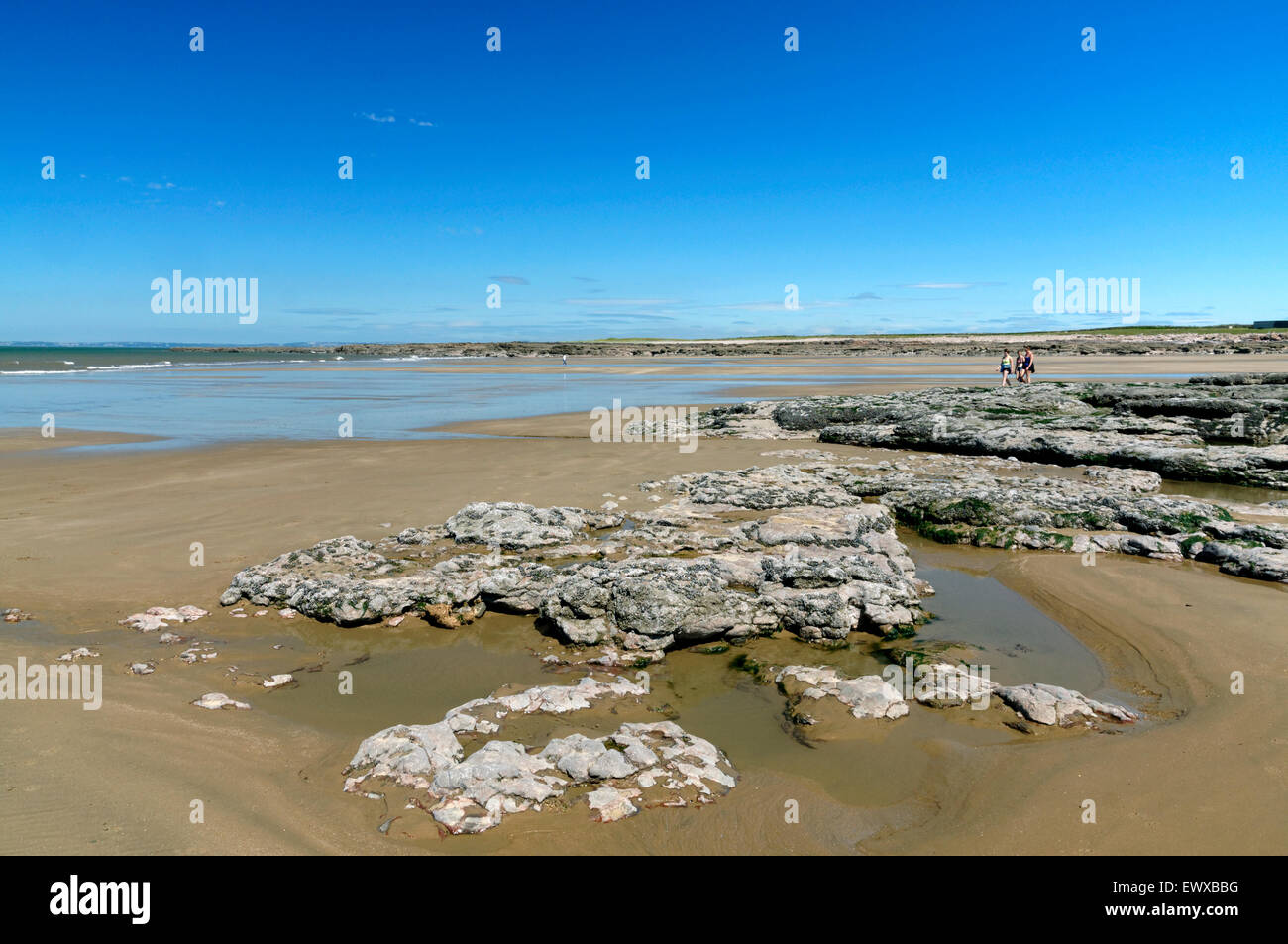 Rock pools, Rest Bay, Porthcawl. South Wales, UK Stock Photo - Alamy