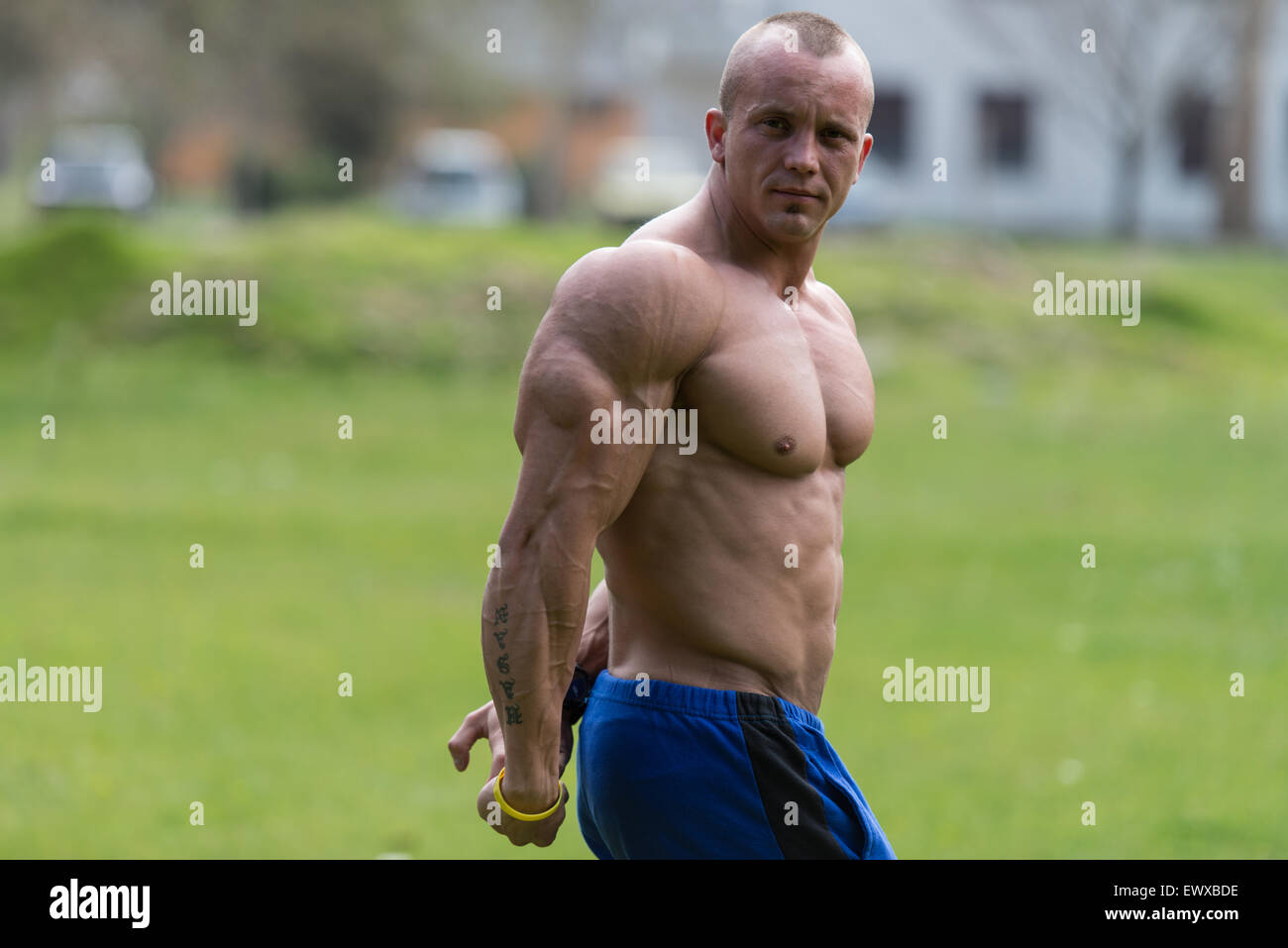 Bodybuilder Performing Side Triceps Poses In Park Stock Photo - Alamy