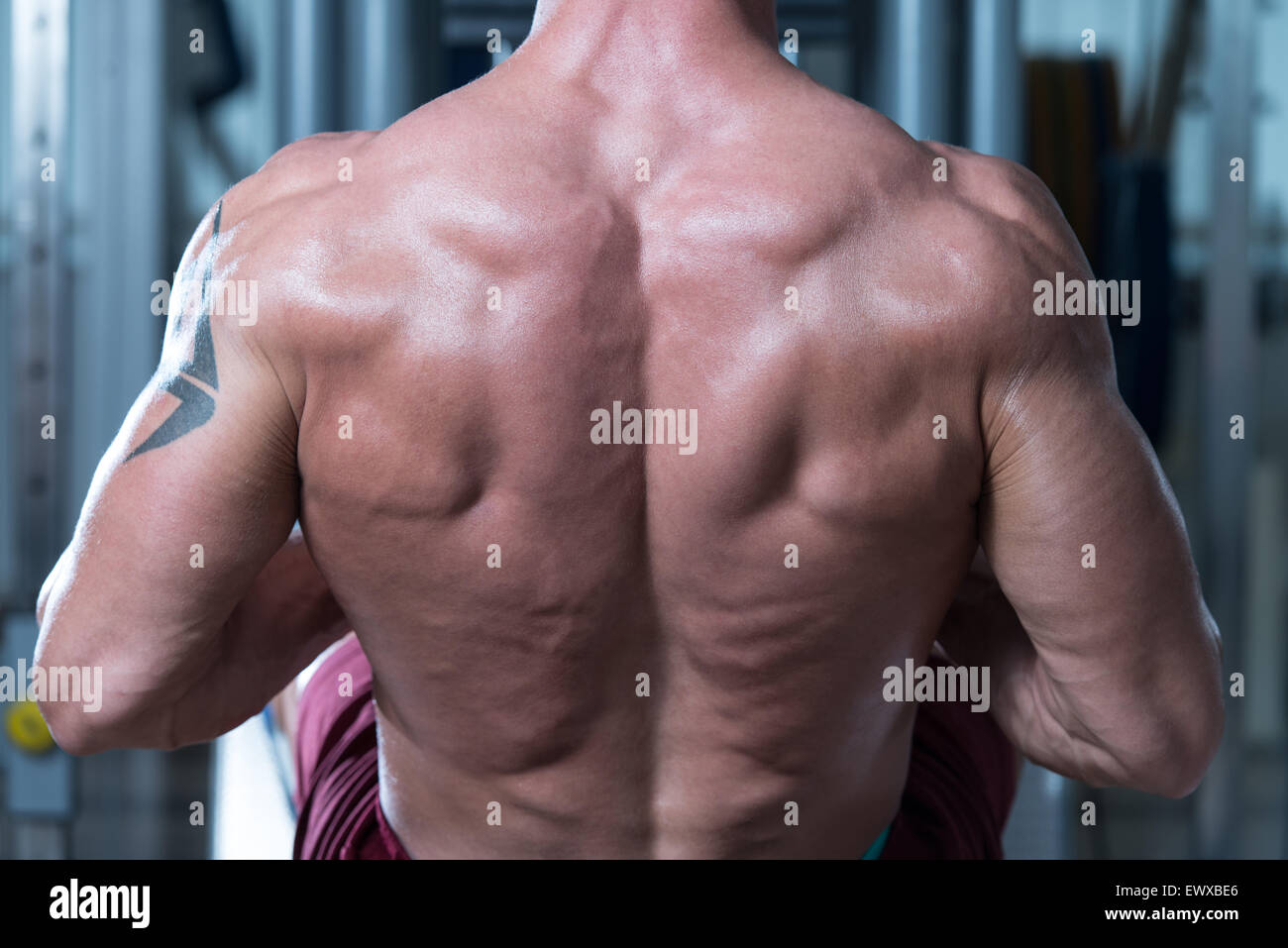 Healthy Male Doing Back Exercises In The Gym Stock Photo - Alamy