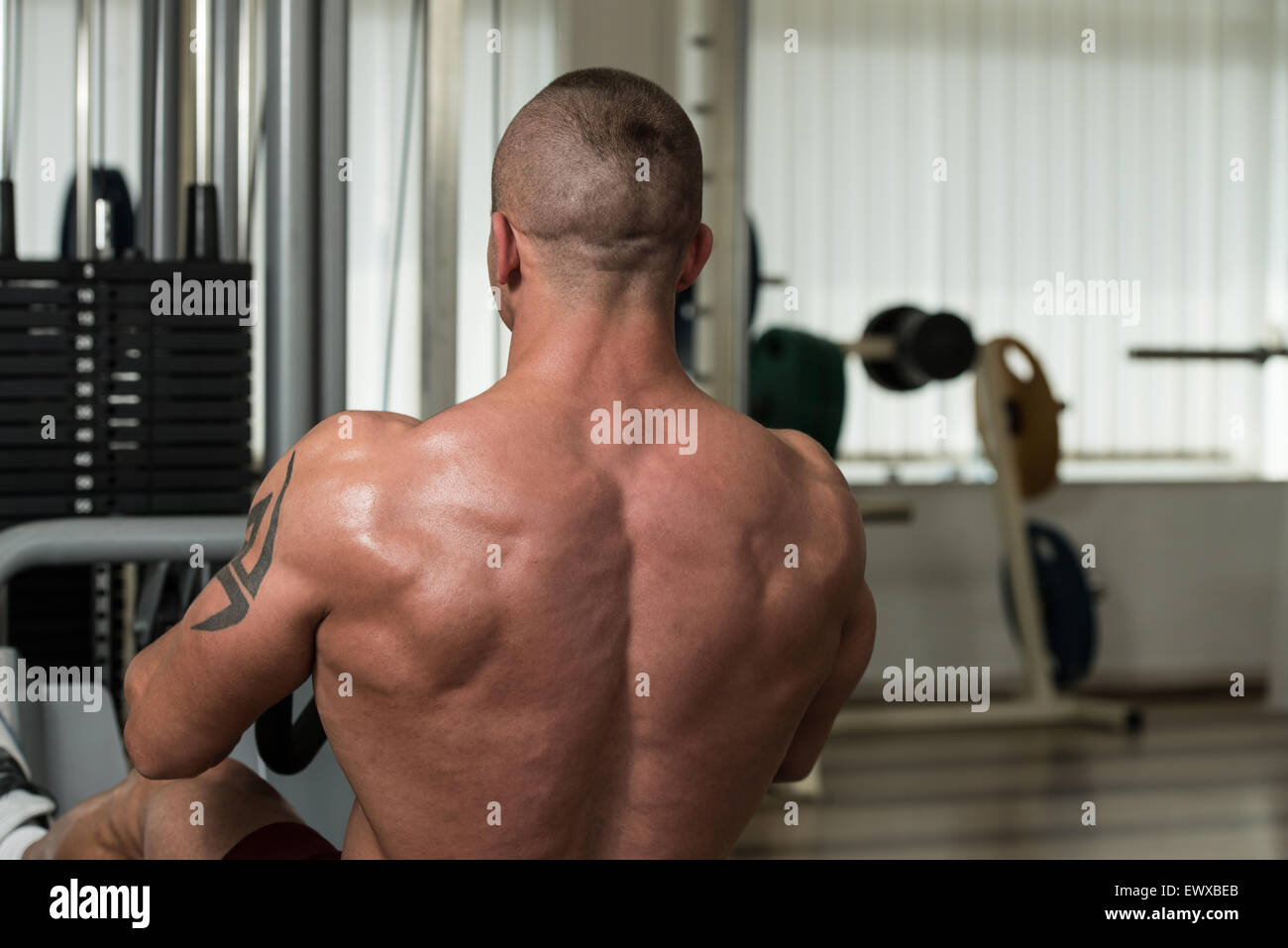 Healthy Male Doing Back Exercises In The Gym Stock Photo - Alamy