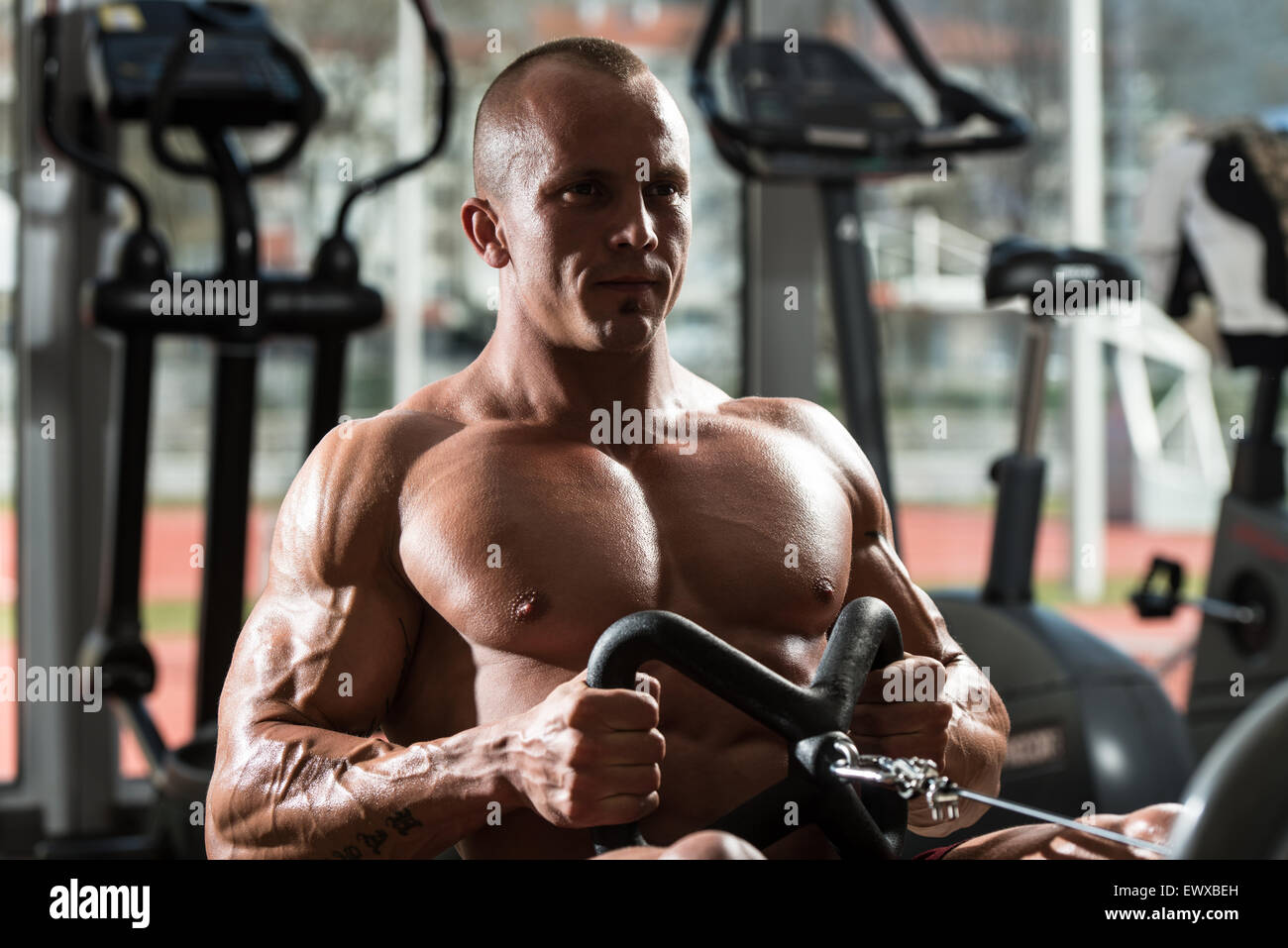 Healthy Male Doing Back Exercises In The Gym Stock Photo - Alamy