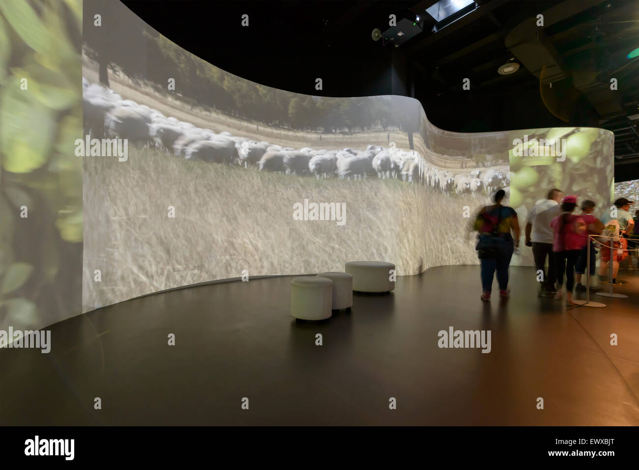 MILAN, ITALY - June 24: movies on curved screens inside exhibition at ...