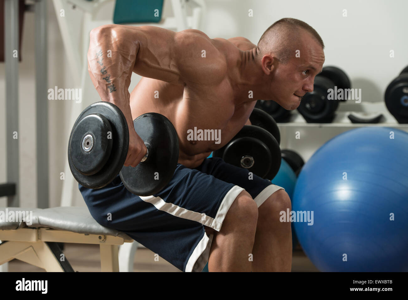 Healthy Man Doing Back Exercises In The Gym With Dumbbell Stock Photo ...