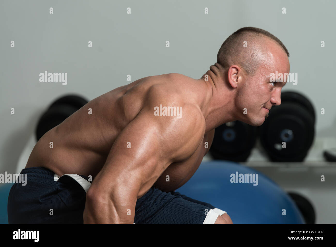 Healthy Man Doing Back Exercises In The Gym With Dumbbell Stock Photo ...