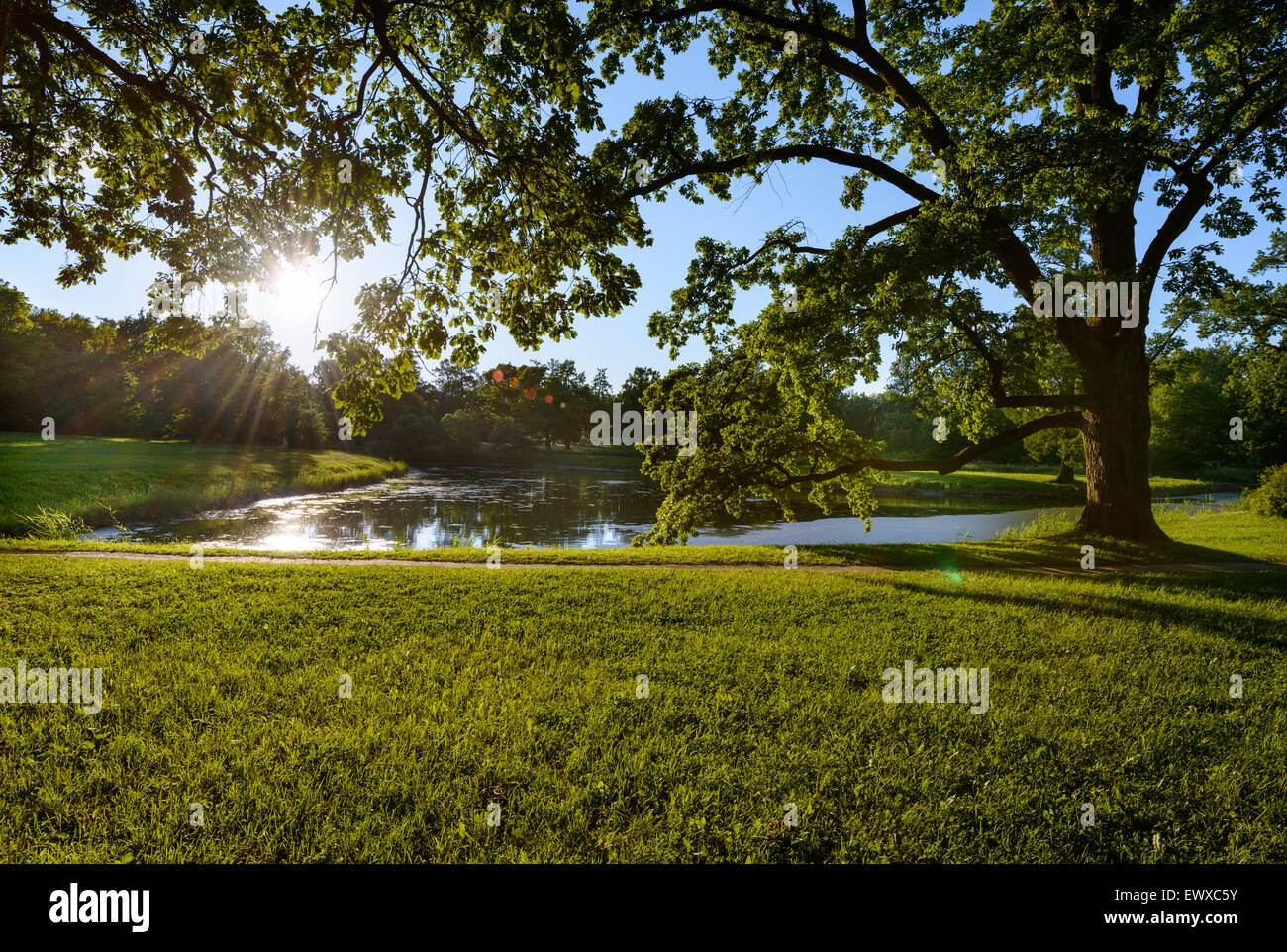 Beautiful Catherine Park. Russia. Pushkin Stock Photo - Alamy