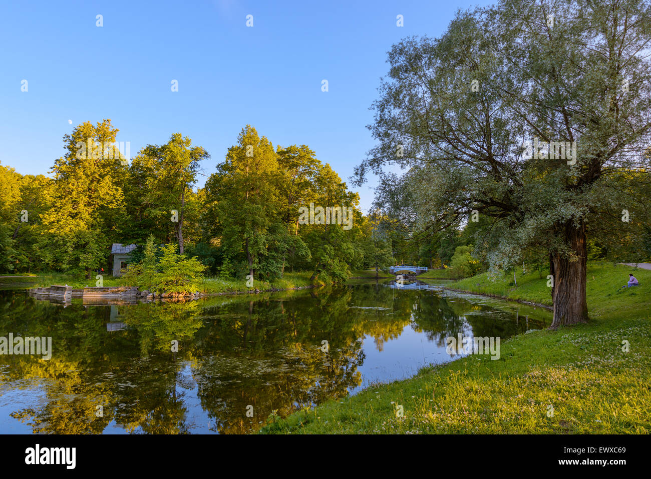 Beautiful Catherine Park. Russia. Pushkin Stock Photo - Alamy