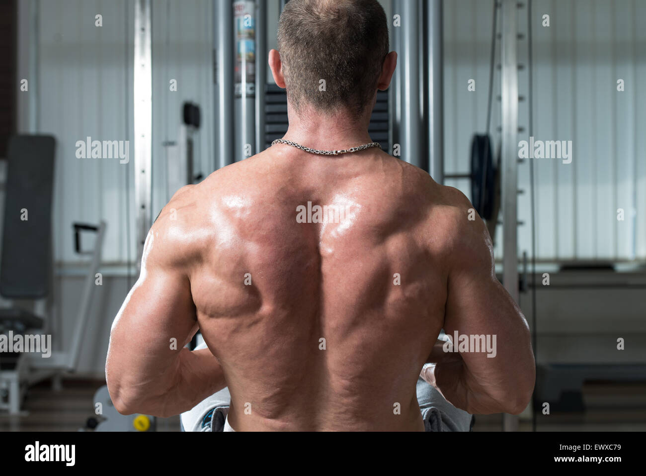 Healthy Male Doing Back Exercises In The Gym Stock Photo - Alamy