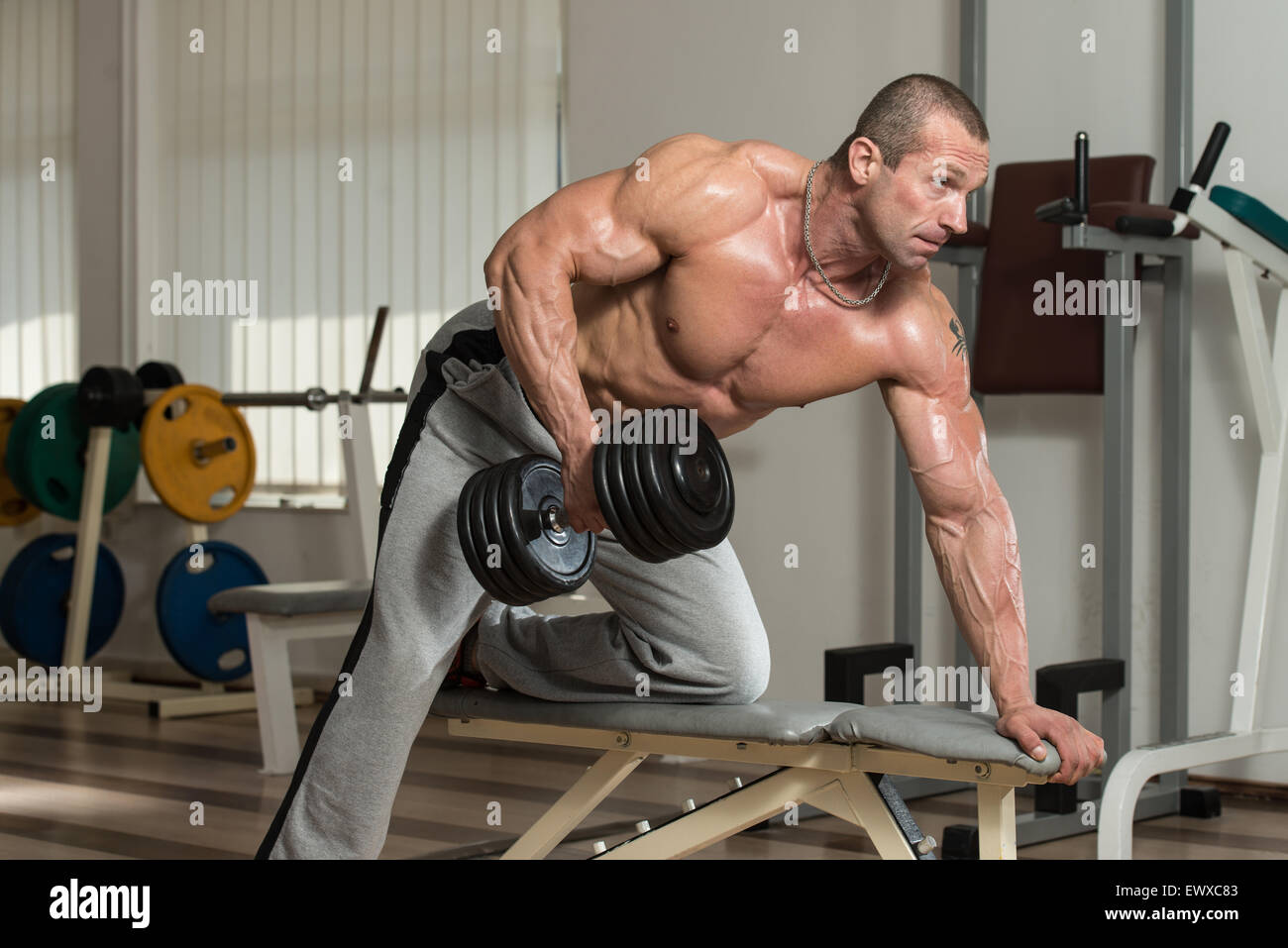 Healthy Man Doing Back Exercises In The Gym With Dumbbell Stock Photo ...