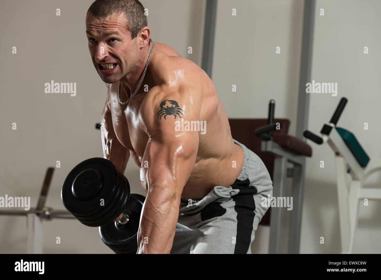 Healthy Man Doing Back Exercises In The Gym With Dumbbell Stock Photo ...