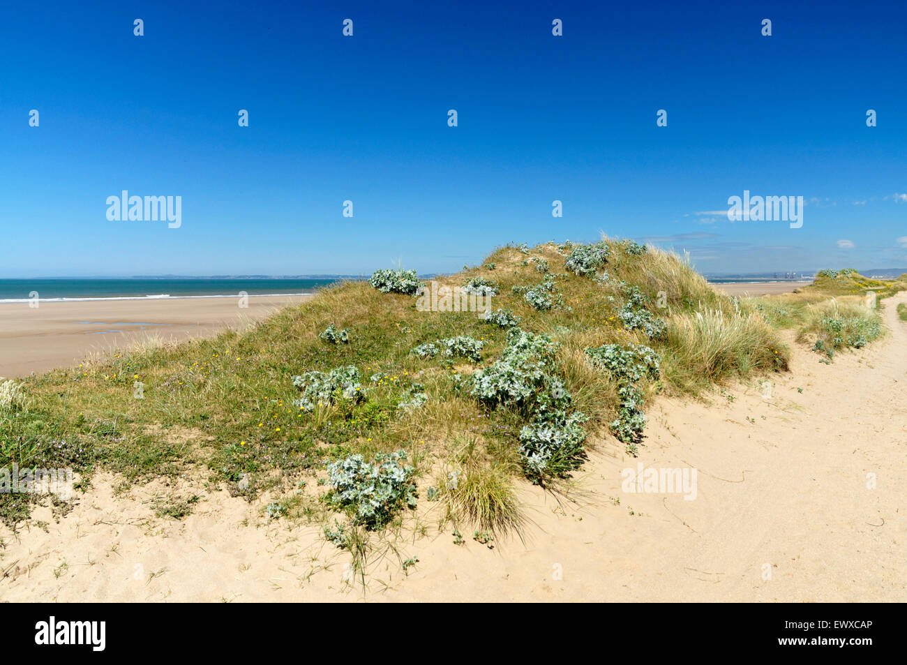 Kenfig Sands High Resolution Stock Photography and Images - Alamy