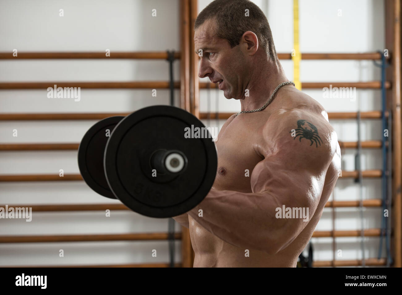 Healthy Man Working Out Biceps In A Health Club Stock Photo - Alamy