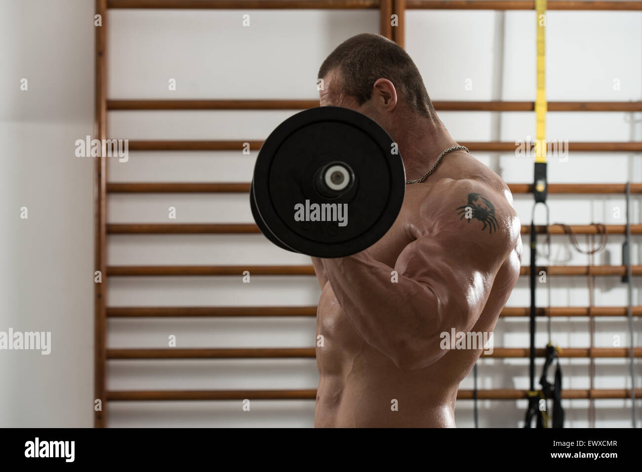 Healthy Man Working Out Biceps In A Health Club Stock Photo - Alamy