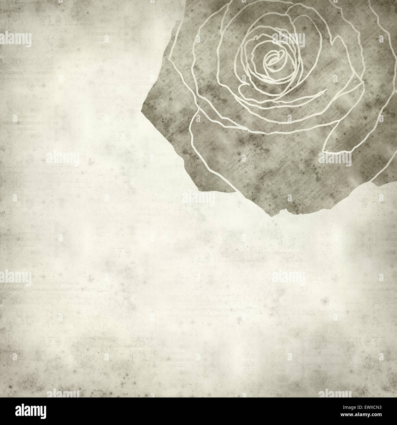 textured old paper background with rose flower drawing Stock Photo - Alamy