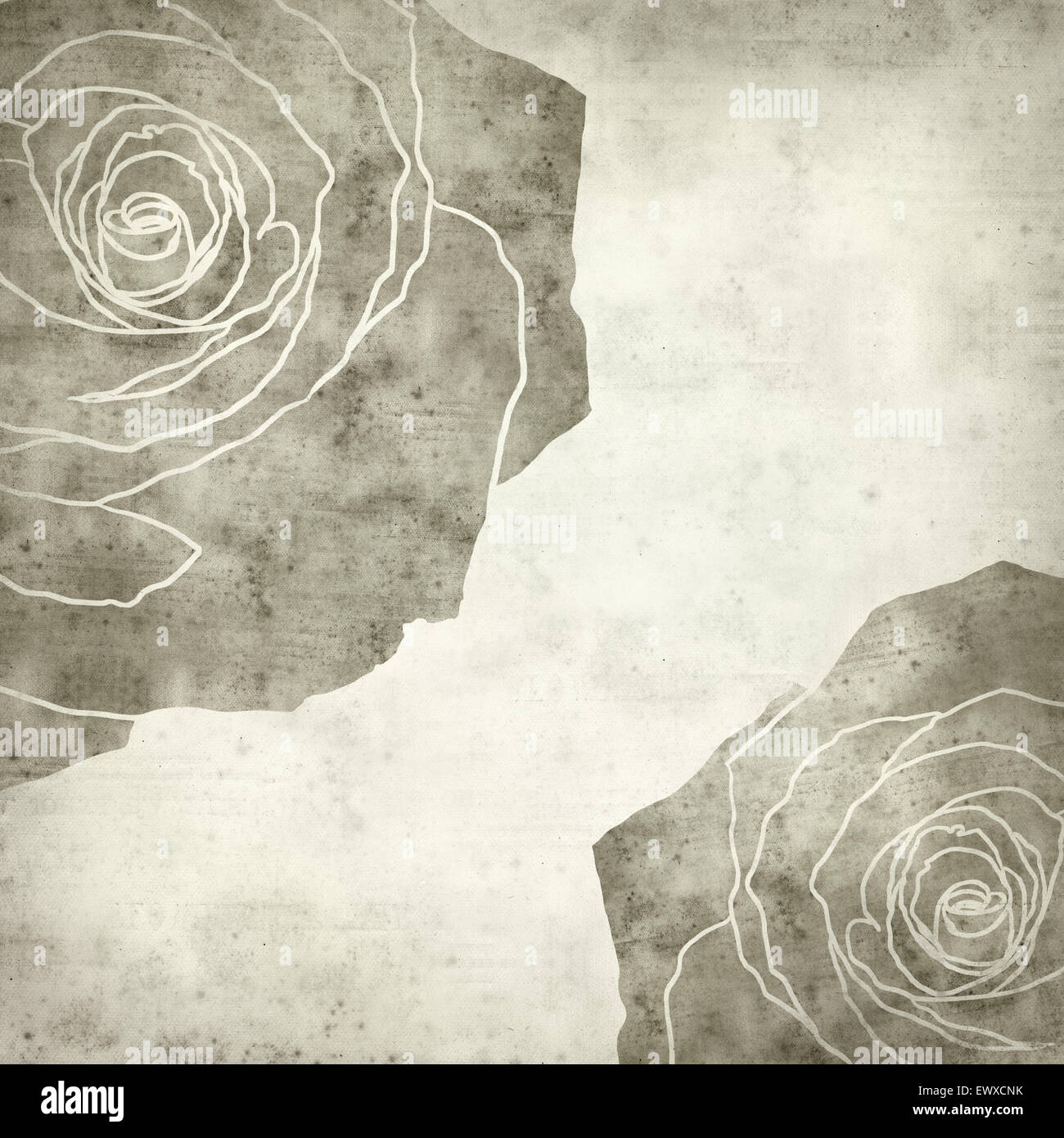 textured old paper background with rose flower drawing Stock Photo - Alamy