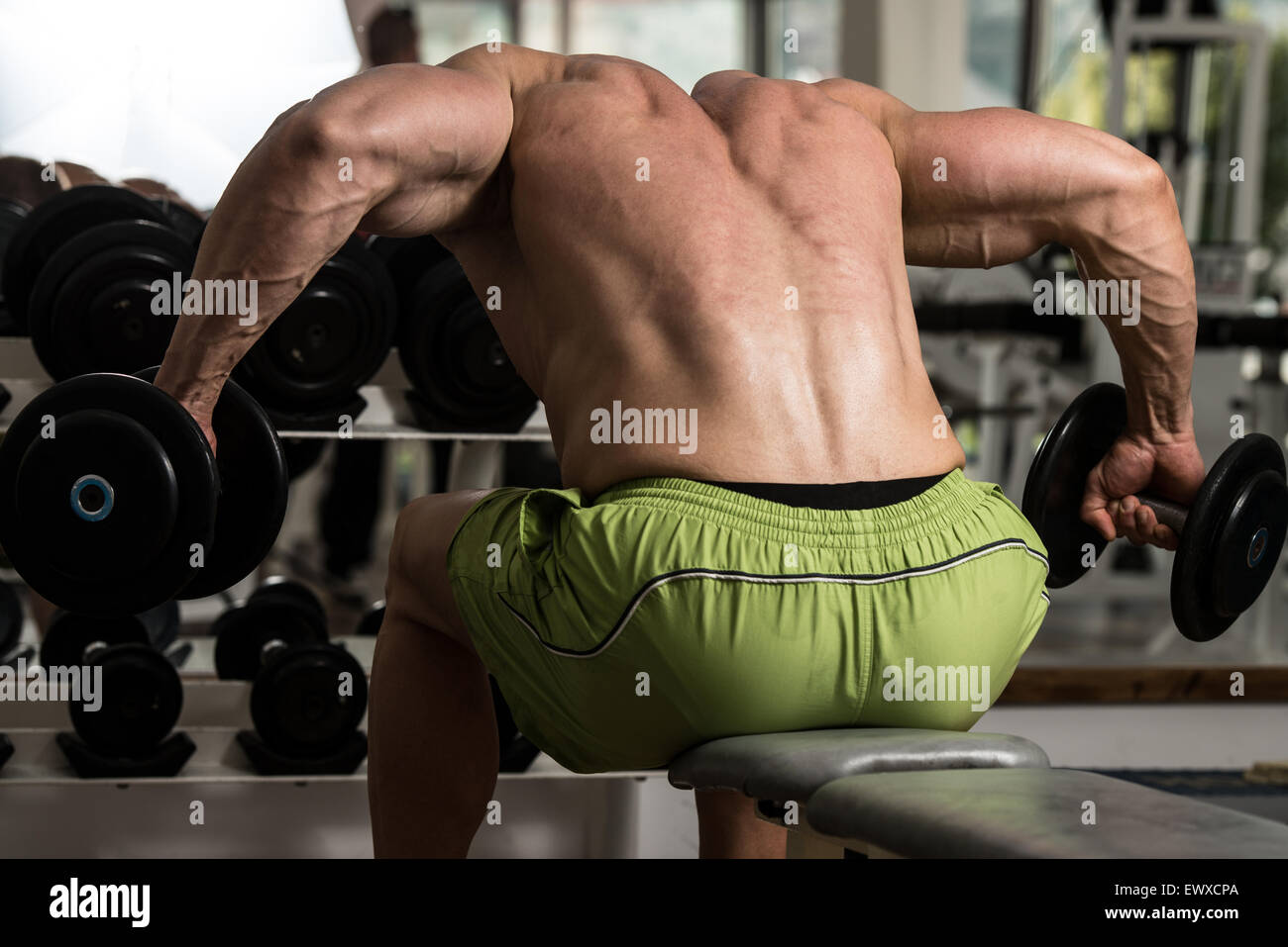 Healthy Man Doing Back Exercises In The Gym With Dumbbell Stock Photo ...