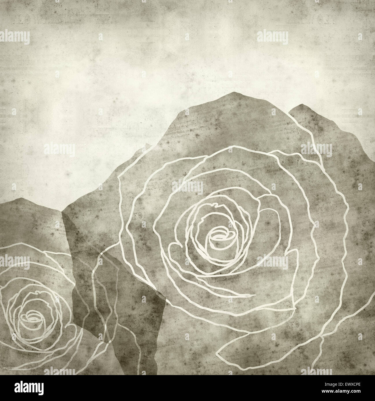 textured old paper background with rose flower drawing Stock Photo - Alamy