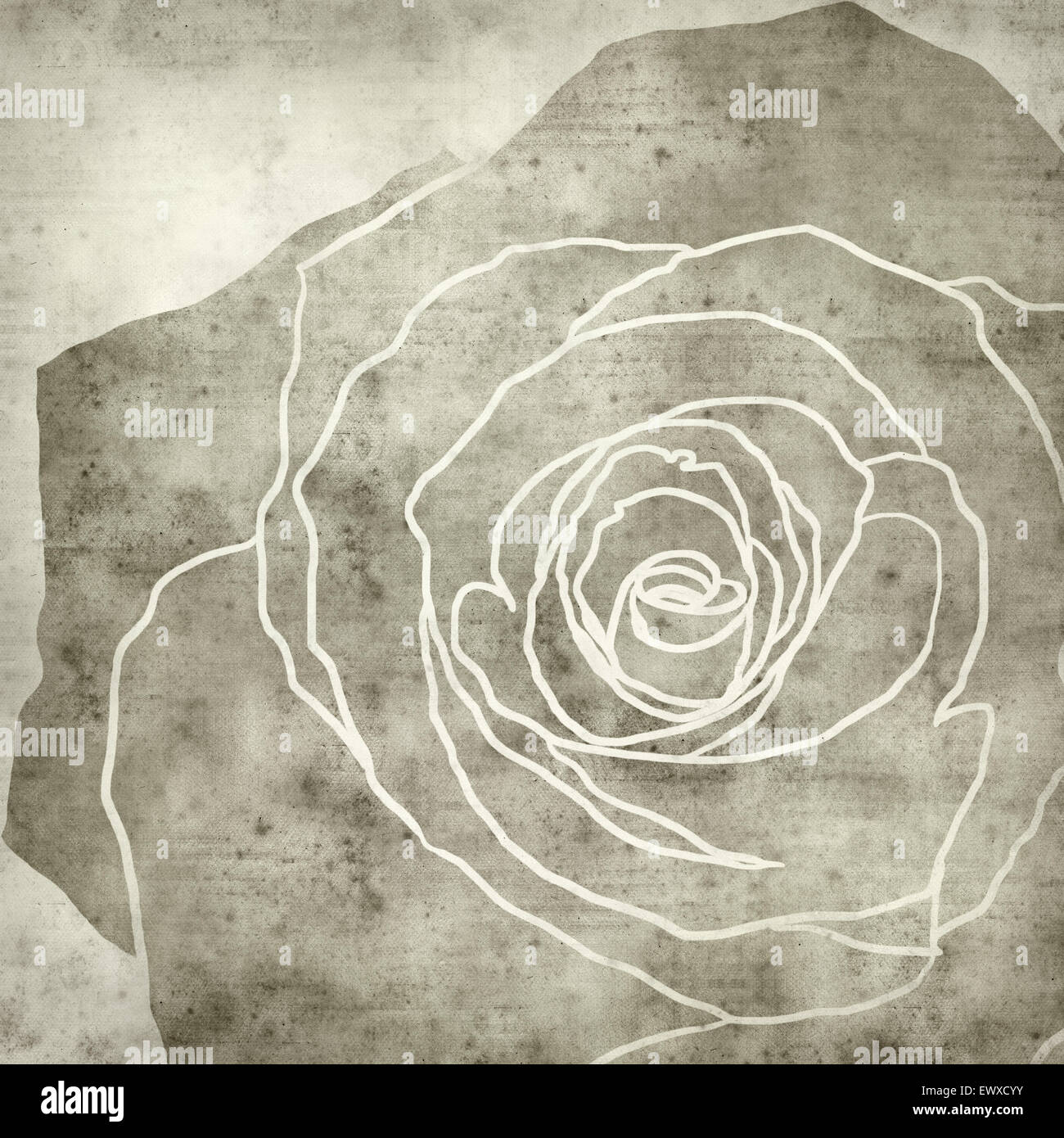 textured old paper background with rose flower drawing Stock Photo - Alamy