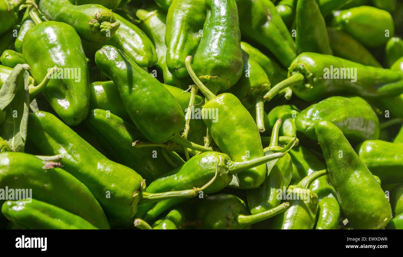 Capsicum fresh green peppers and red flowers Stock Photo - Alamy