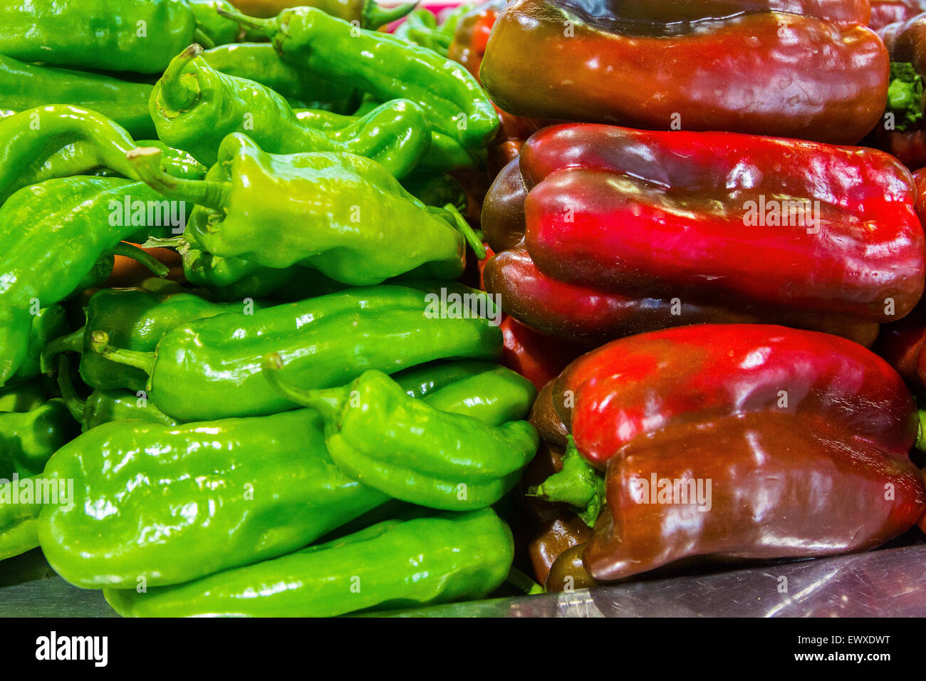Capsicum fresh green peppers and red flowers Stock Photo - Alamy