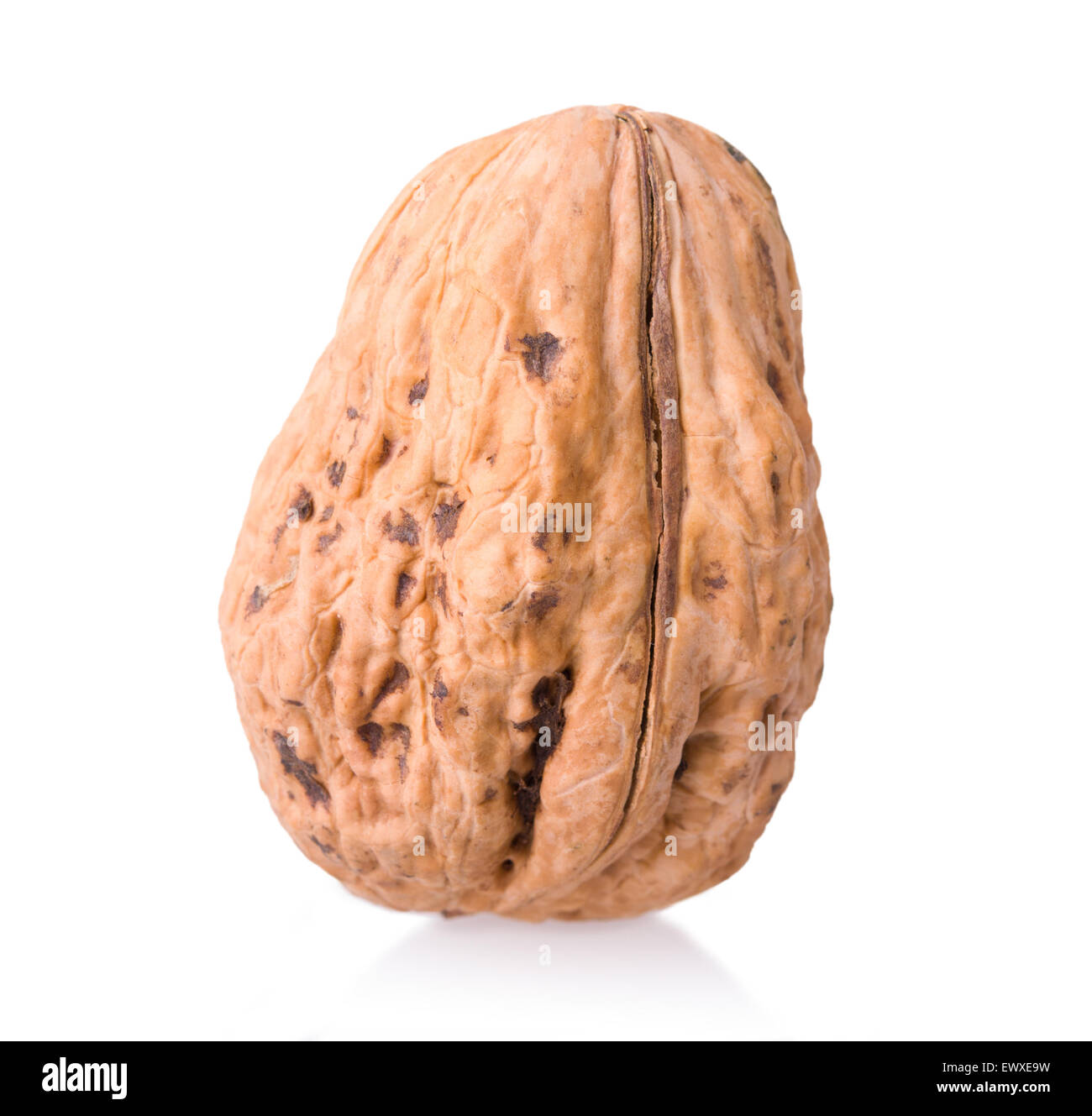 Walnut shell detail Cut Out Stock Images & Pictures - Alamy