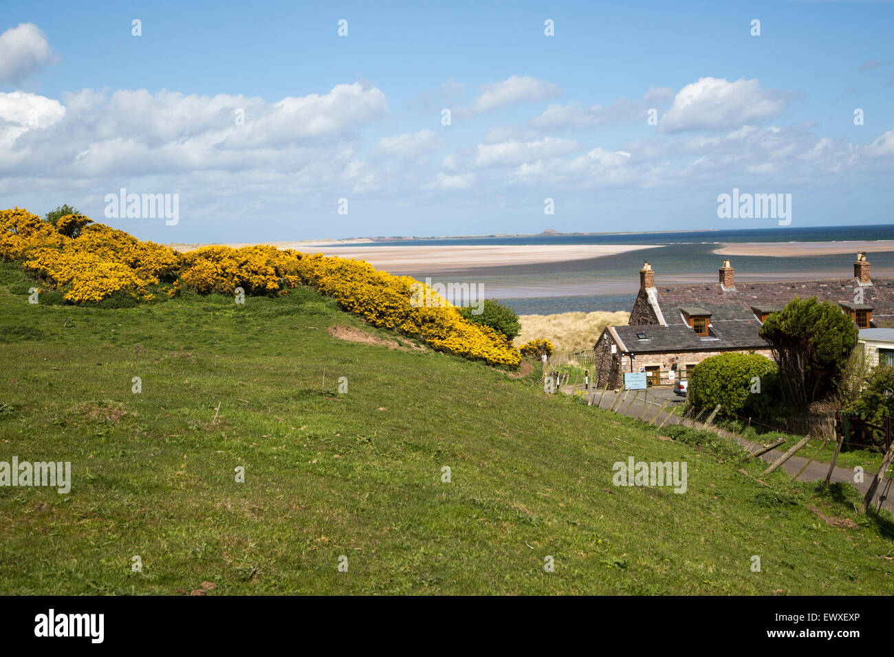 Coastal landscape at Budle Bay, Northumberland coast, England, UK Stock ...