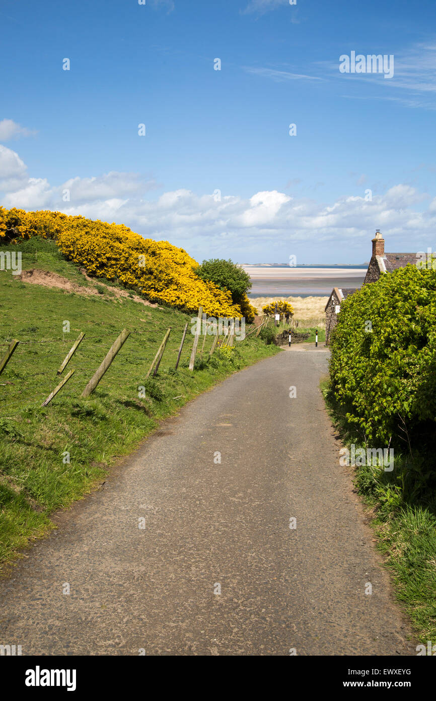 Coastal landscape at Budle Bay, Northumberland coast, England, UK Stock ...