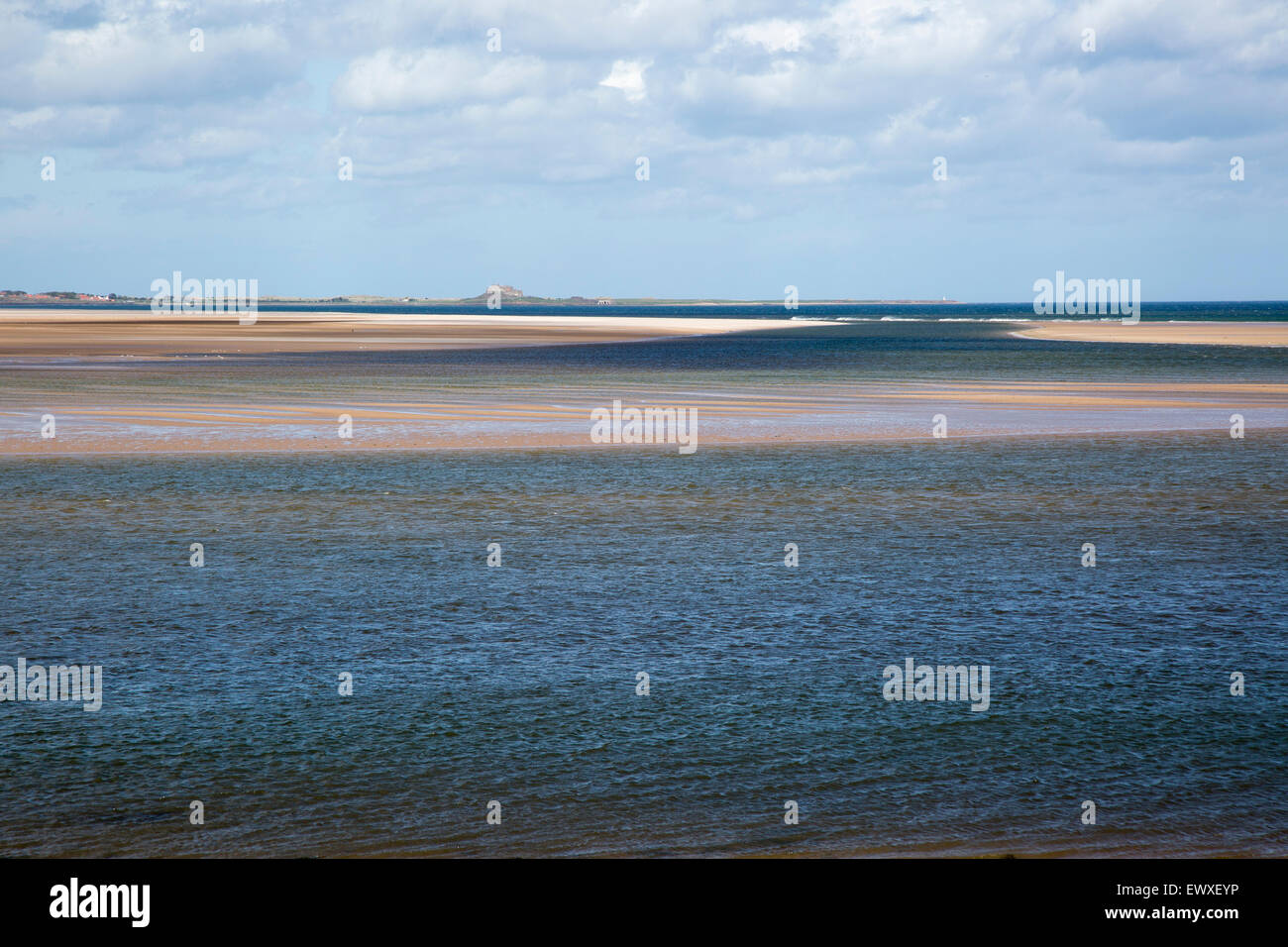 Coastal landscape of tidal sands, Budle Bay, Northumberland coast ...
