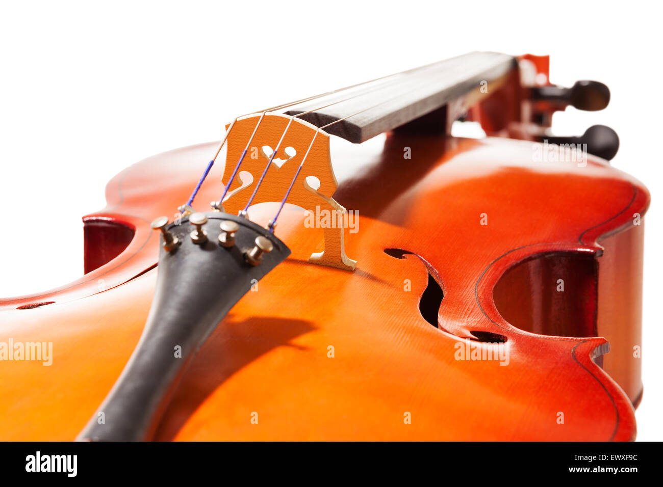 Close-up view of cello body on white background Stock Photo - Alamy