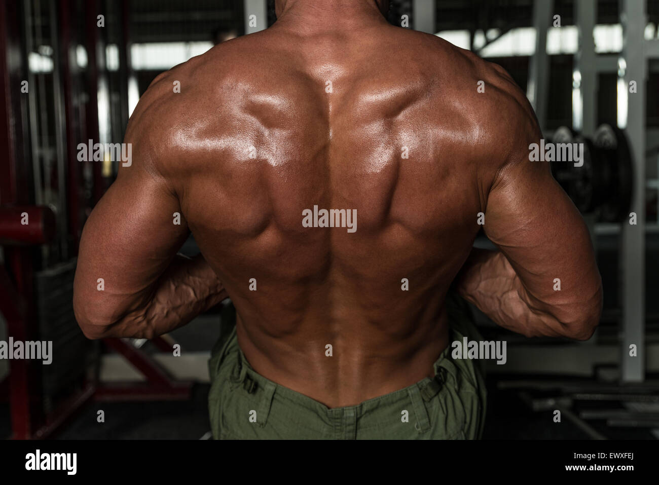 Mature Male Doing Back Exercises In The Gym Stock Photo - Alamy