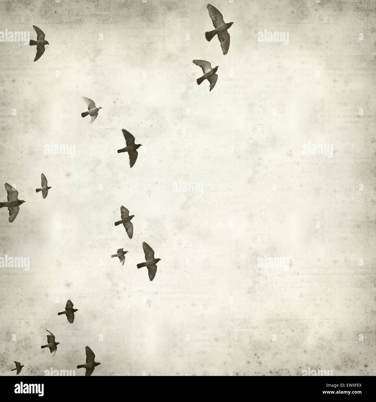 textured old paper background with flying pigeons Stock Photo - Alamy