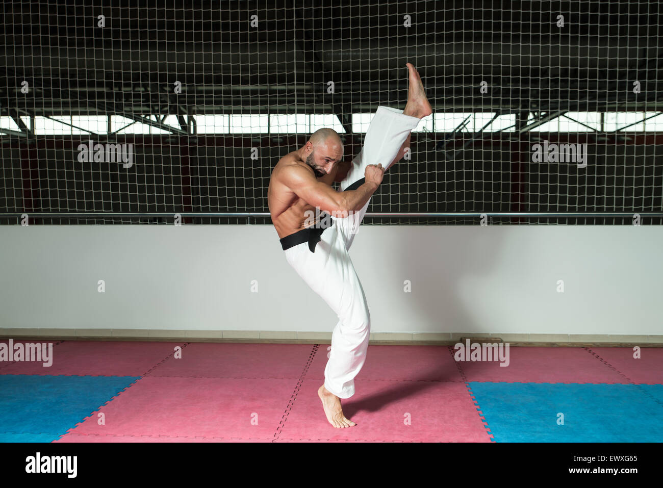Taekwondo Fighter Expert With Fight Stance Stock Photo - Alamy