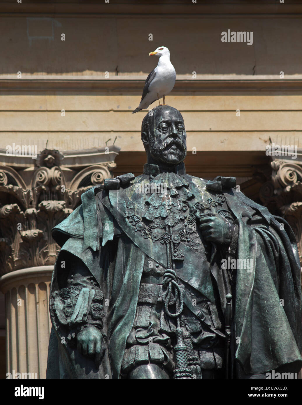 A gull sits upon the head of a statue of Edward V11 outside the ...